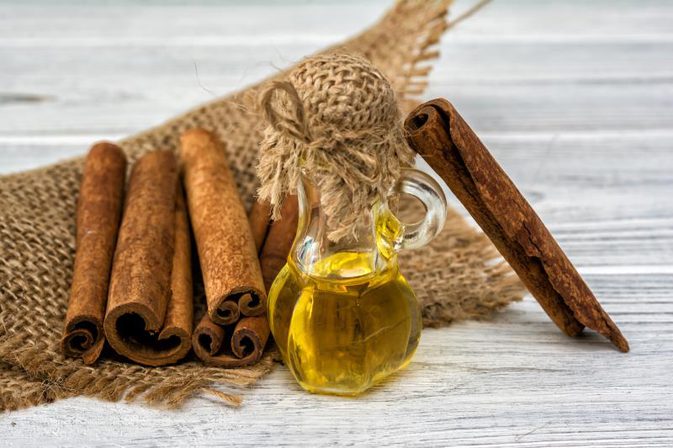 Cinnamon Carrier Oil Manufacture and Wholesale Supplier In India